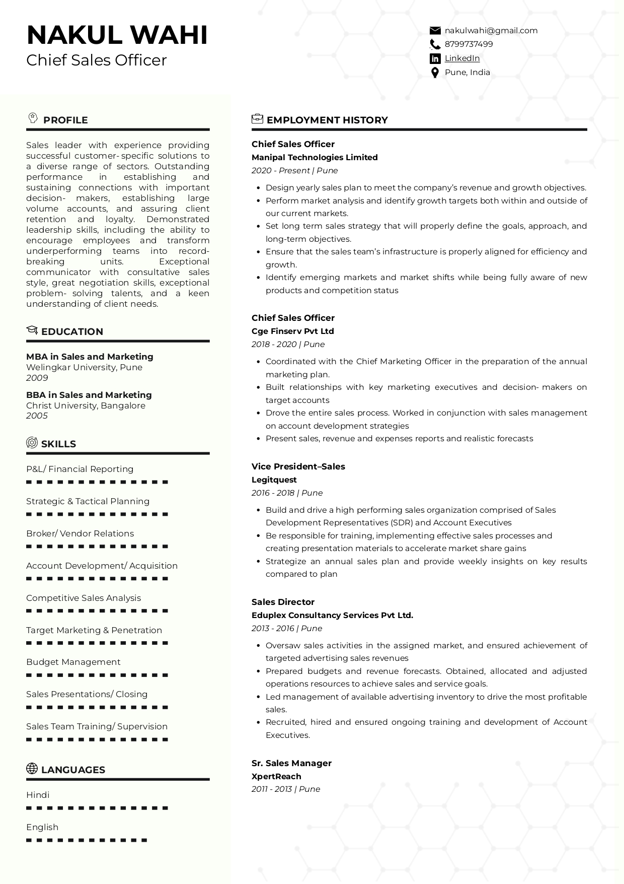 Sample Resume of Chief Sales Officer with Template & Writing Guide | Resumod.co