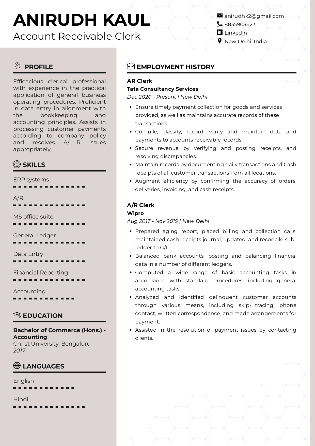 Applicant Resume Sample For Clerk