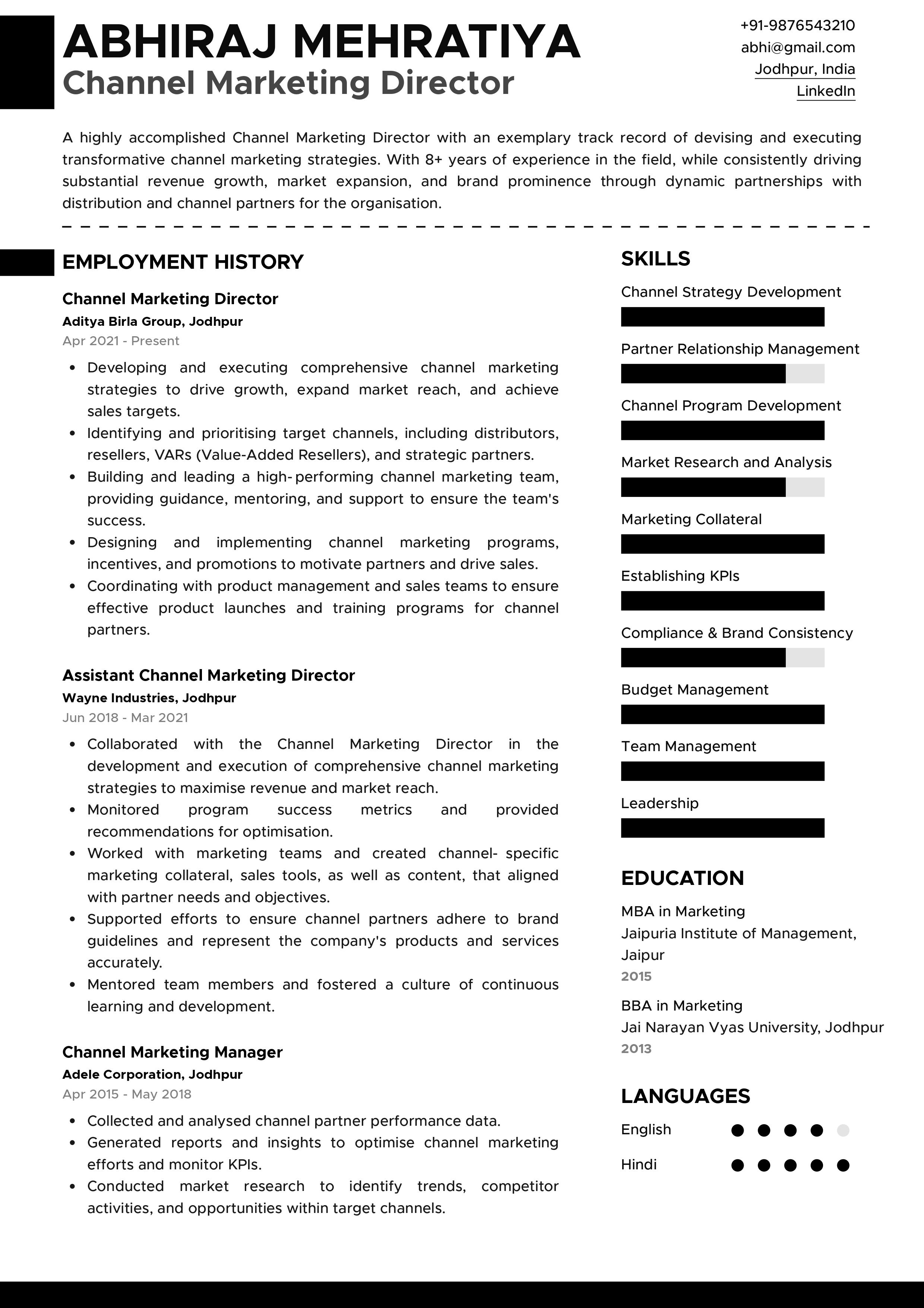Sample Resume of Channel Marketing Director with Template & Writing ...