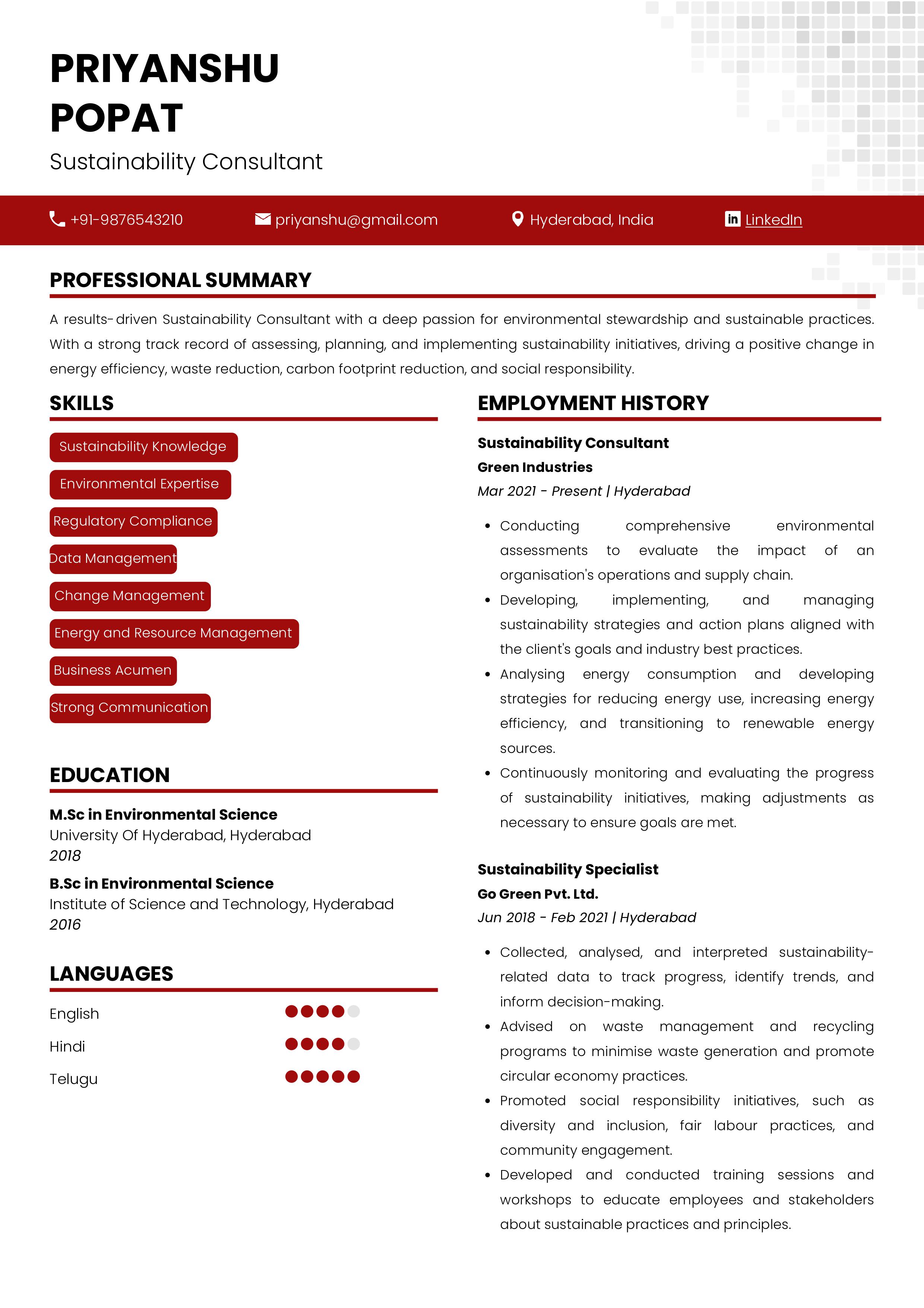 Independent Consultant Resume Sample