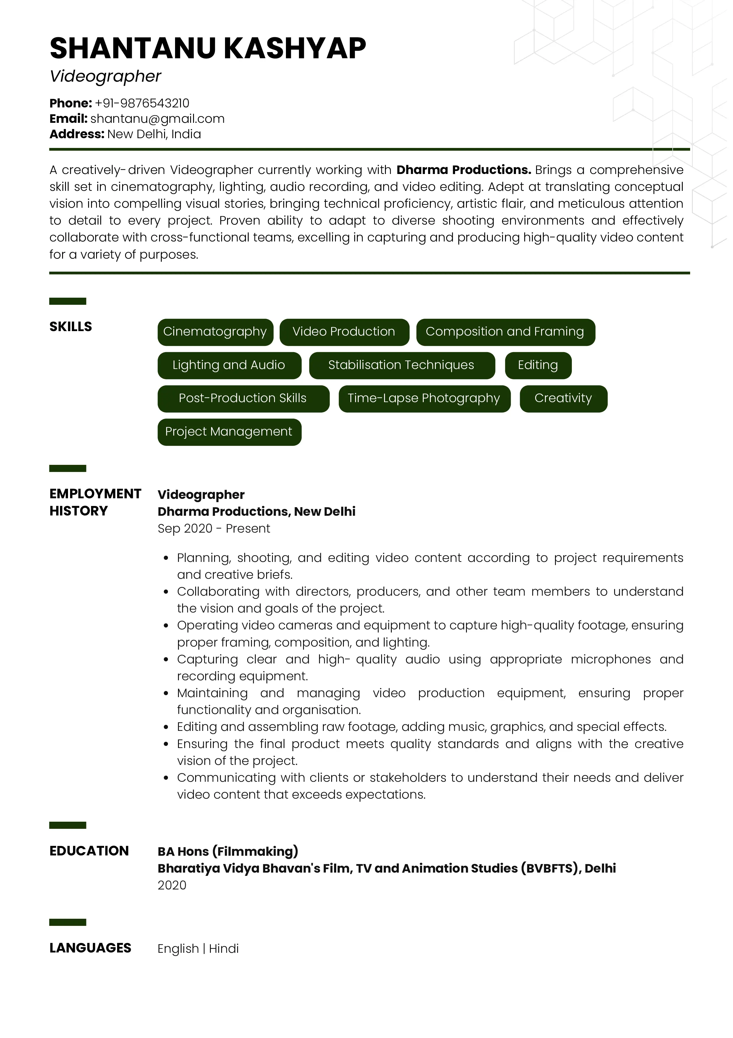 Video Resume Examples