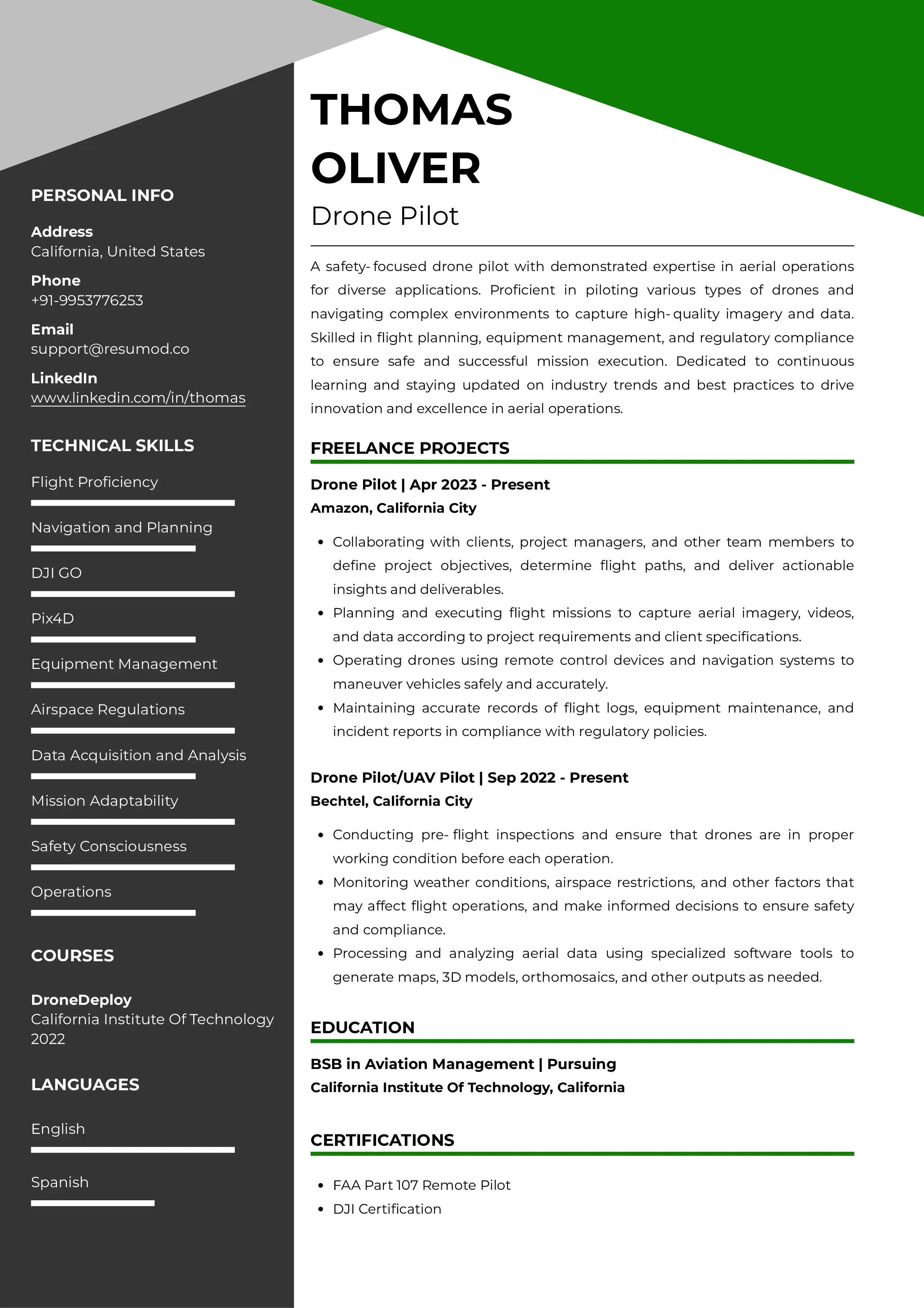 Capture Manager Sample Resume Sample Resumes & Other Job Search Docs