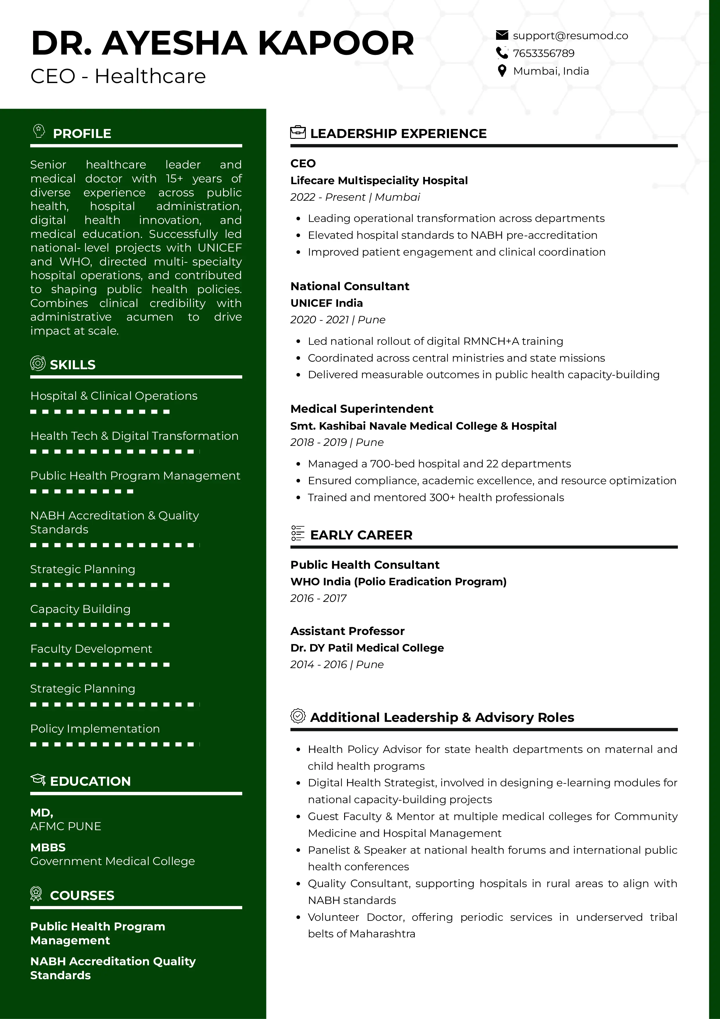 Ceo Resume Template